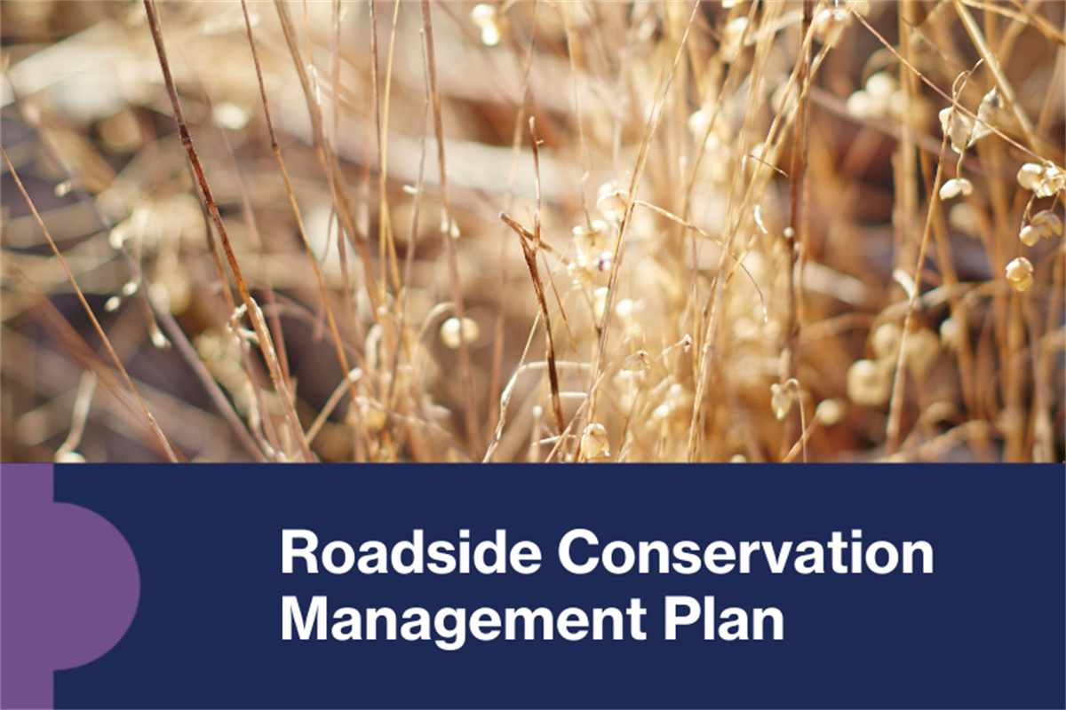 Draft Roadside Conservation Management Plan Rural City of Wangaratta