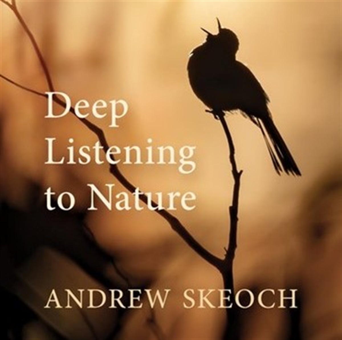 March into Sustainability - Deep Listening to Nature Rural City of ...